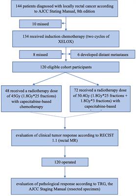 Frontiers | Efficacy and safety of different radiotherapy doses in neoadjuvant chemoradiotherapy ...